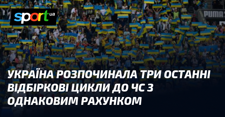 Bokep live show indo